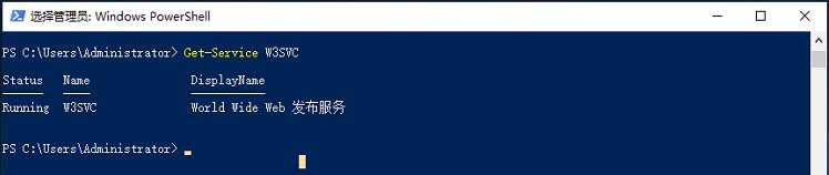 新版Windows Server 2019的IIS配置websocket_win2019 websocket-CSDN博客
