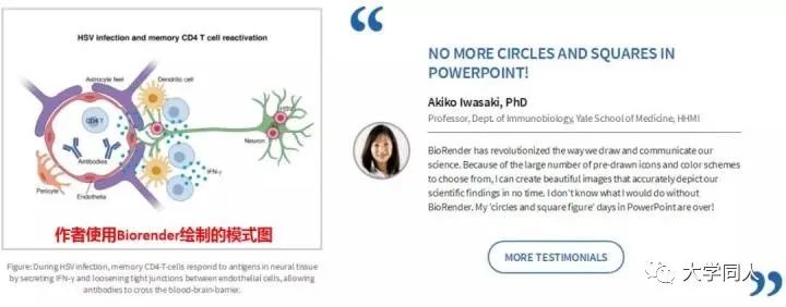 origin如何将多个曲线放在一张图_解密！SCI论文中那些高大上的插图是如何绘制的..._weixin_39530833的博客-CSDN博客