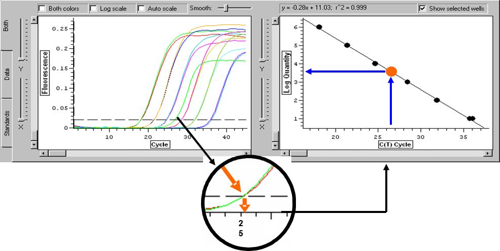qPCR 数据分析_qpcr数据处理公式-CSDN博客