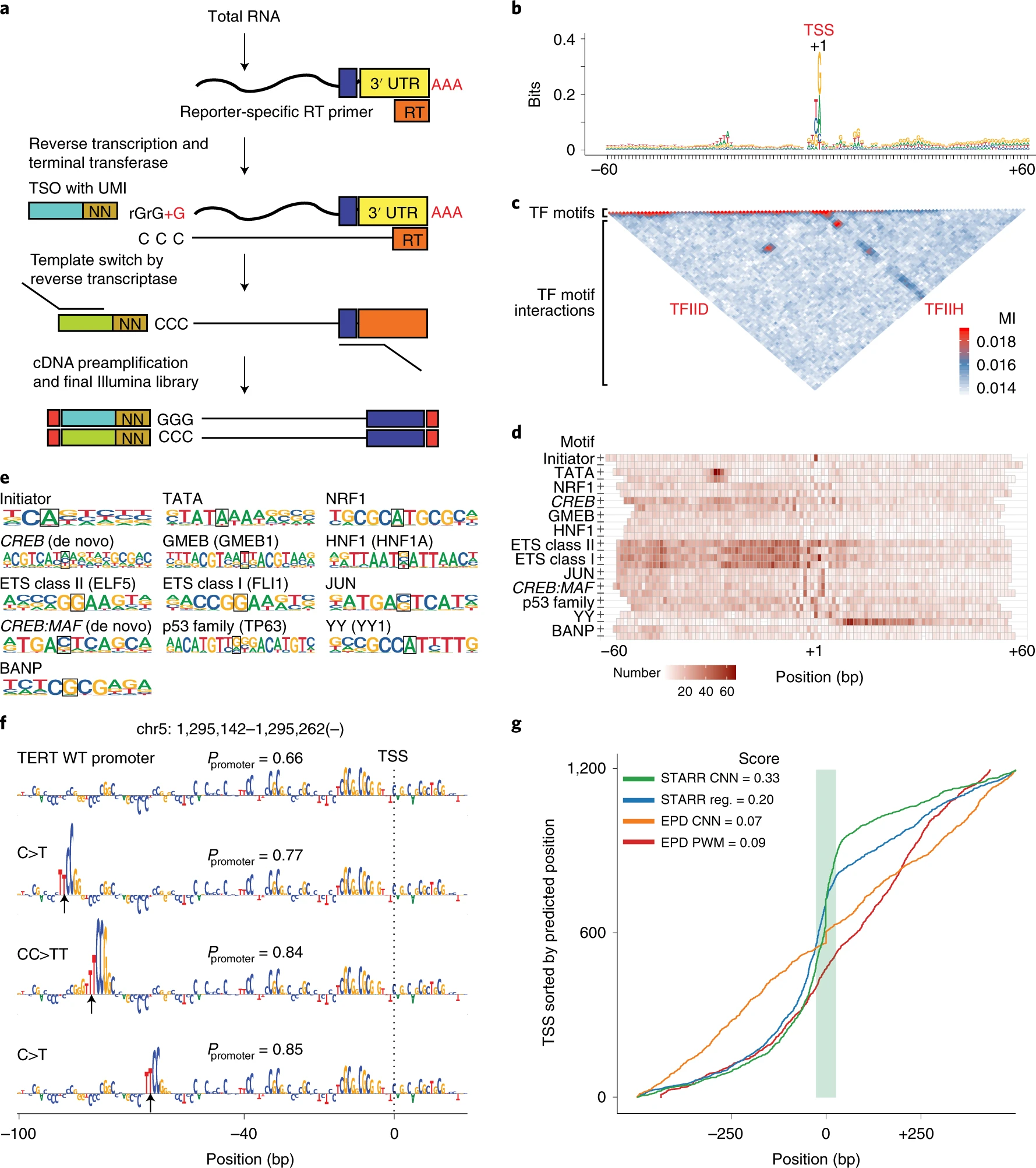 本周最新文献速递20220227_starr-seq-CSDN博客