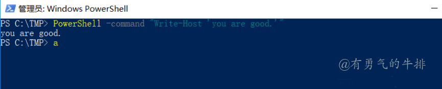 Windows PowerShell命令大全-CSDN博客