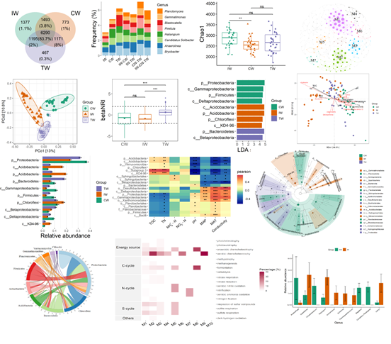 FEMS：微生物群落生态学数据挖掘的R包microeco-CSDN博客