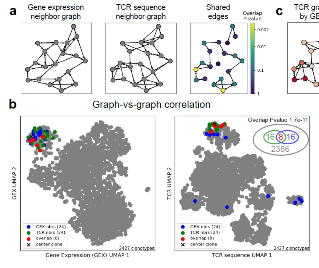10X单细胞（10X空间转录组）TCR转录组联合数据分析之TCRdist3(6)neighbor graph analysis（CoNGA ...