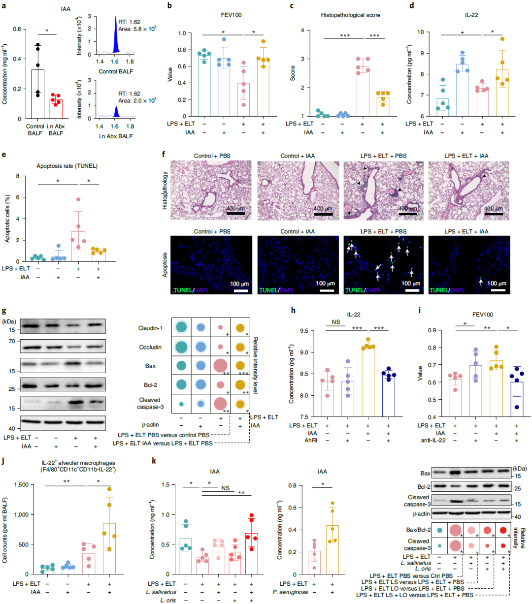 Nature Microbiology | 王璋/陈荣昌/周宏伟-慢阻肺病呼吸道菌群-宿主互作机制-CSDN博客