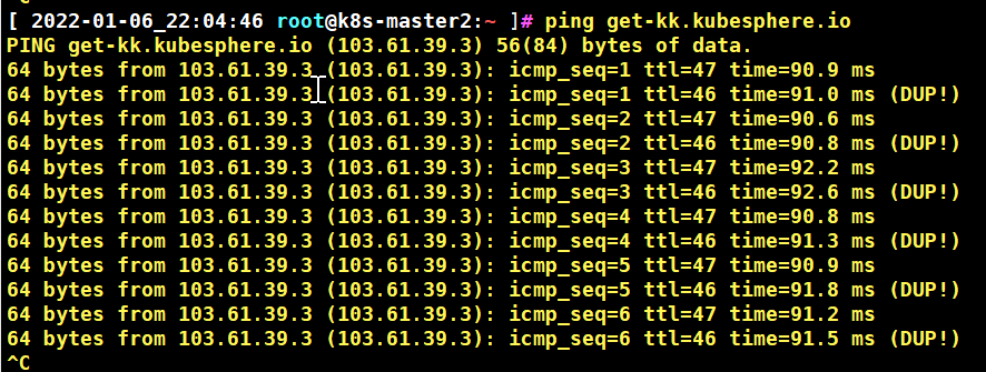 虚拟机ping出现DUP问题解决_esxi中ping存在dup-CSDN博客