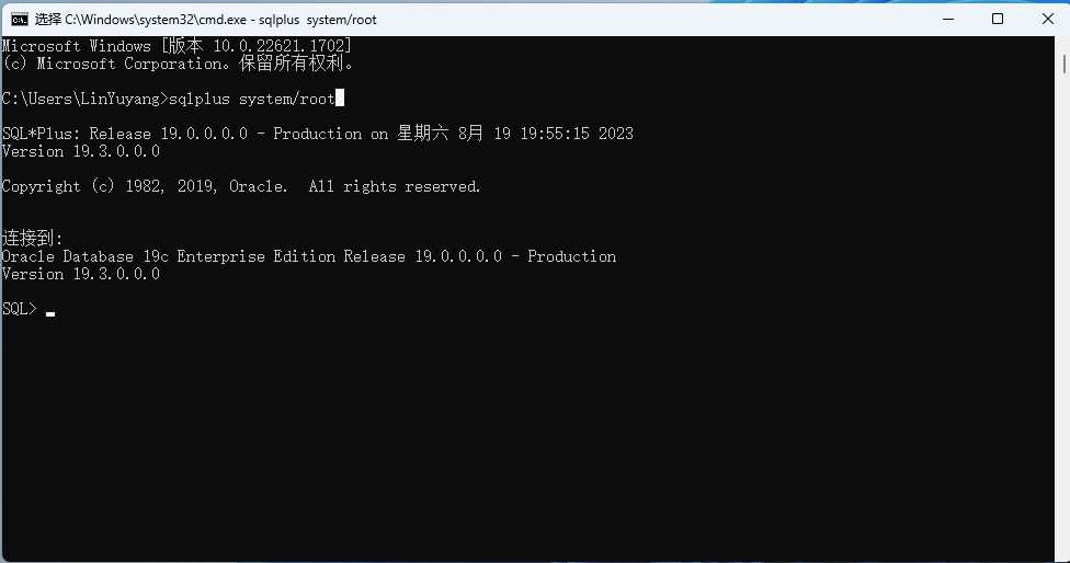 【Oracle学习笔记_01】Win11虚拟机安装Oracle 19c（保姆教程）_oracle19c安装教程-CSDN博客