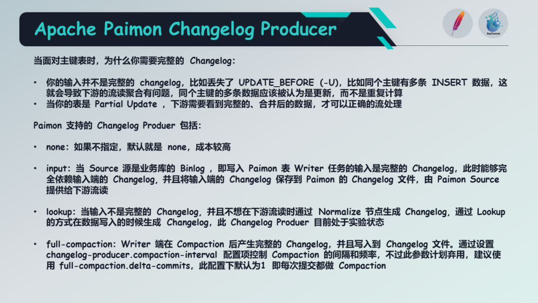 Apache SeaTunnel 和 Paimon 的爱恨情仇-CSDN博客