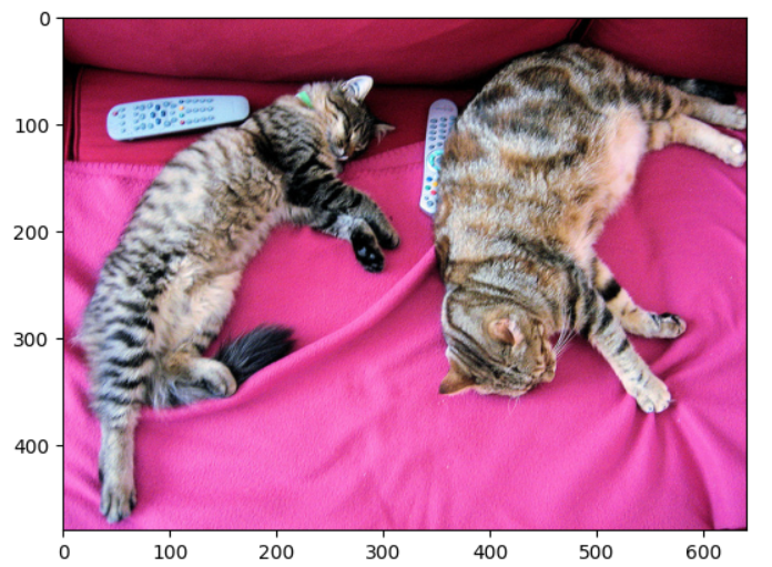 使用ROCm在AMD GPU上进行BEiT、MobileNet和EfficientNet的图像分类_tabby cat数据集-CSDN博客