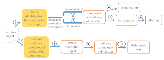FEMS：微生物群落生态学数据挖掘的R包microeco-CSDN博客