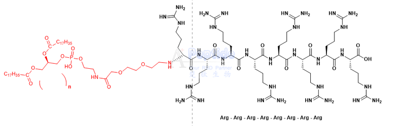 DSPE-PEG-R8（细胞穿膜肽）；DSPE-PEG-RRRRRRRR；DSPE-PEG-SEARYL-R8（二硬脂酰基磷脂酰乙醇胺-聚乙二 ...