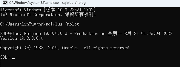 【Oracle学习笔记_01】Win11虚拟机安装Oracle 19c（保姆教程）_oracle19c安装教程-CSDN博客
