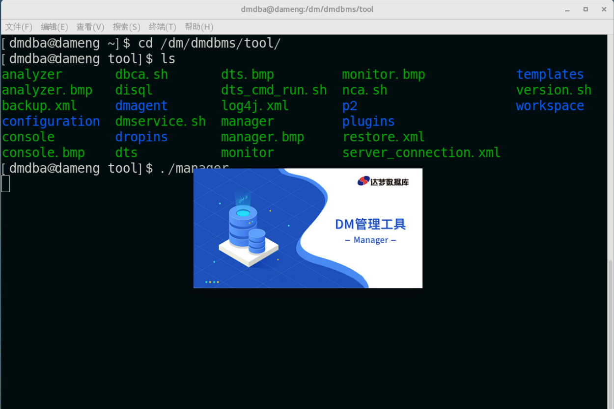四、DM Manager工具使用_dm数据库连接工具-CSDN博客