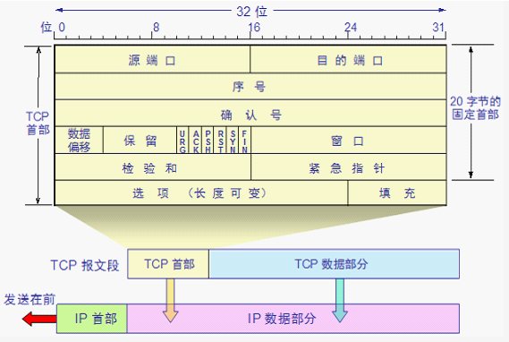 Educoder 计算机网络实验 传输层协议分析第1关tcp 包基础 Csdn博客