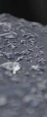 随机图库Lorem Picsum_图库随机选取-CSDN博客