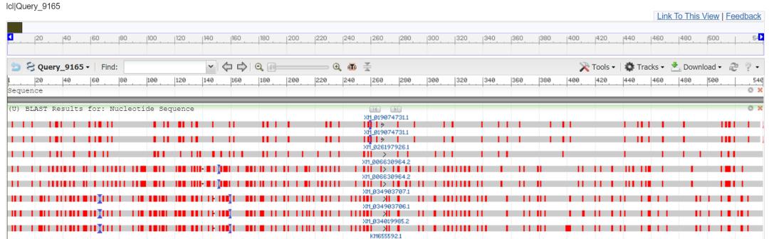 clustalw序列比对_序列比对，科研必备的几款软件_weixin_39807691的博客-CSDN博客