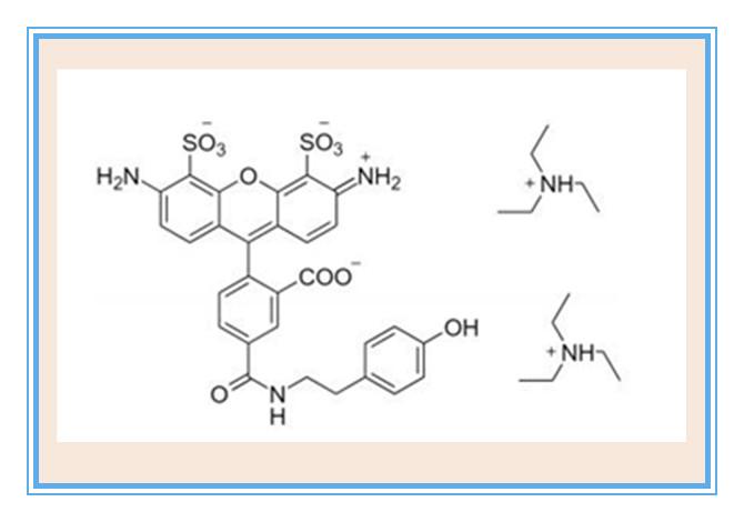 AF488 TSA，AlexaFluor488 Tyramide，AF488酪胺，偶联二抗可实现明亮、灵敏免疫染色-CSDN博客