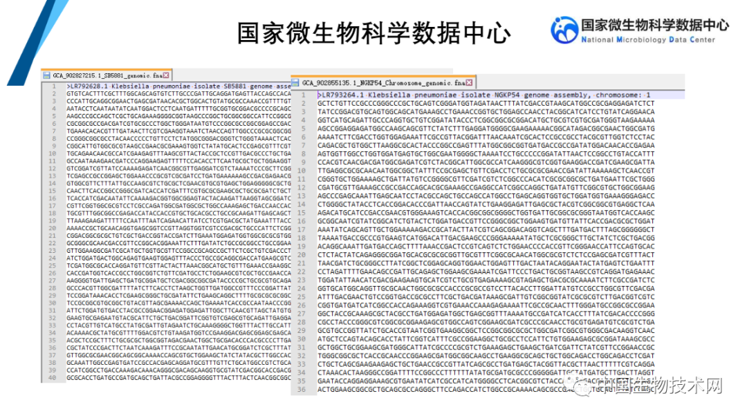 微课堂：MUMmer——国家微生物科学数据中心云工具-CSDN博客