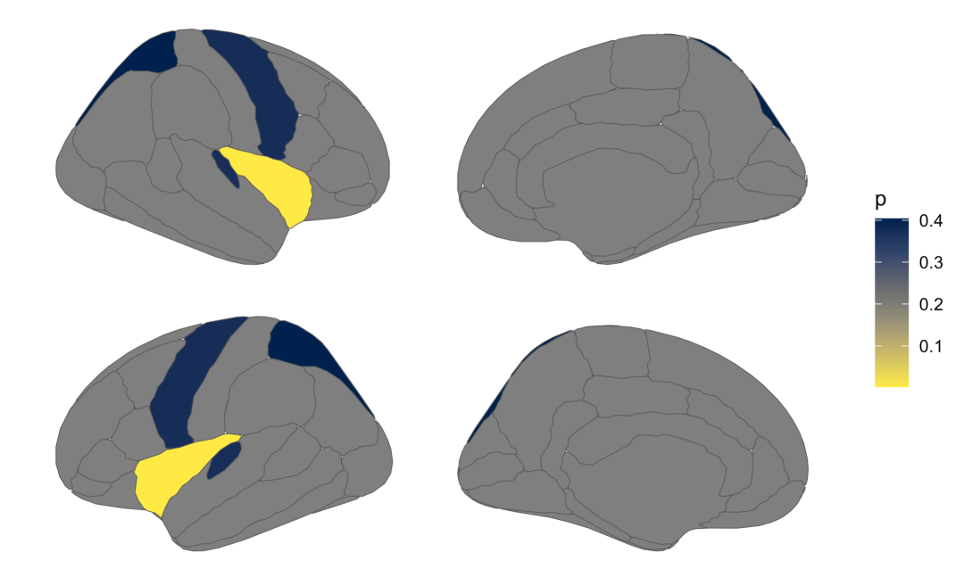 R| ggseg 绘制统计结果-CSDN博客