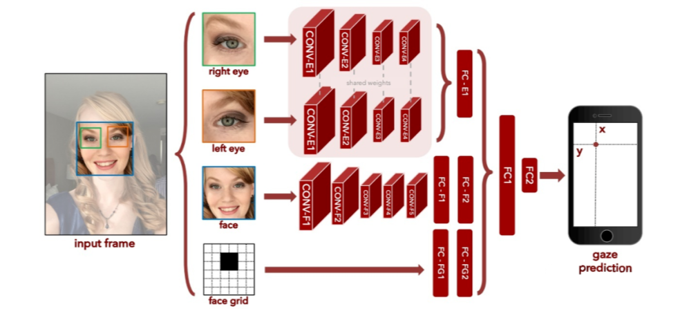 Openface (二) EYE GAZE 算法综述_rendering of eyes for eye-shape registration and g-CSDN博客