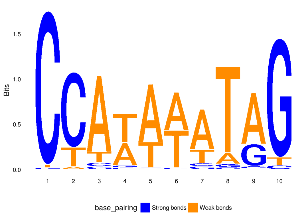 利用ggseqlogo绘制seqlogo图_R语言中文社区的博客-CSDN博客