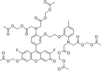 钙荧光探针Fluo-4, AM，273221-67-3一种将Fluo-3结构中的Cl替换成F的钙荧光探针_fluo-4,am的表达荧光图片 ...