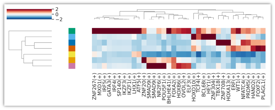 pySCENIC单细胞转录因子分析更新(2)：python版分析及可视化-CSDN博客