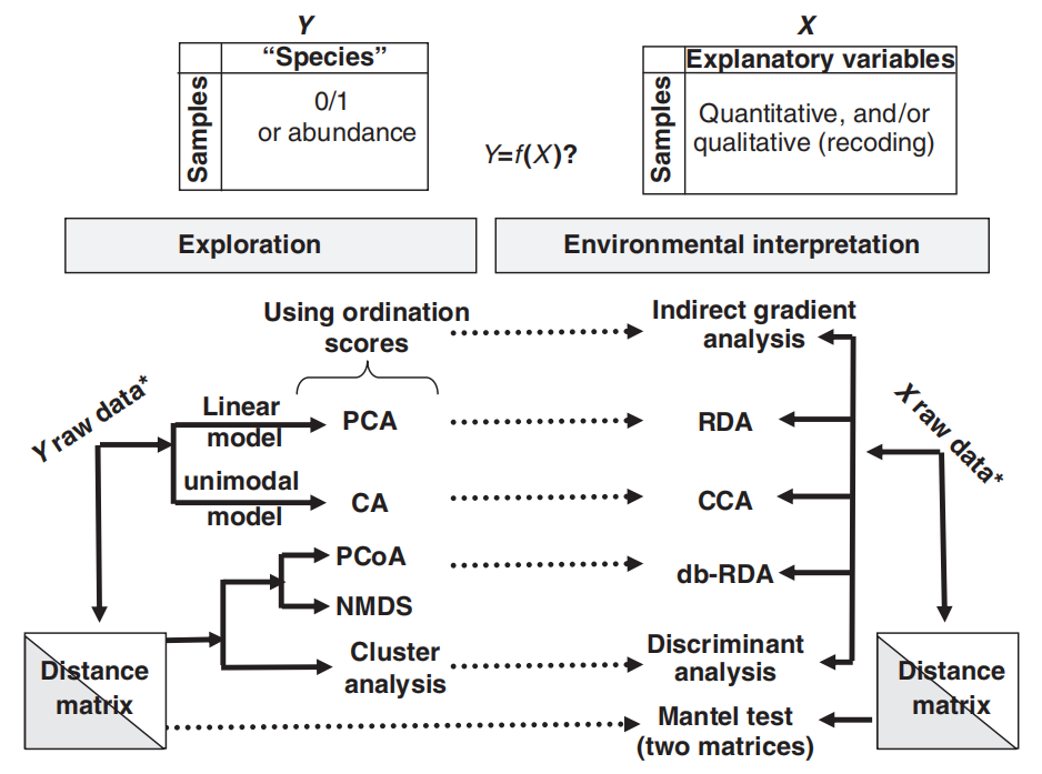 rda冗余分析步骤_微生物生态学中的多变量分析_weixin_39649736的博客-CSDN博客