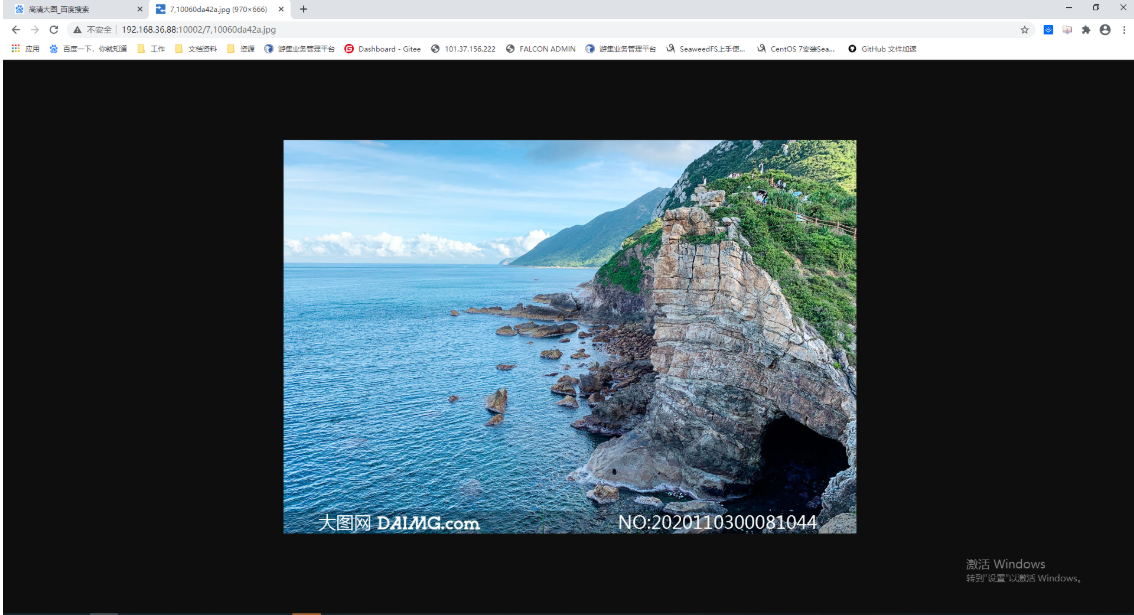 SeaWeedfs 部署+入门_seaweedfs初始化存储节点-CSDN博客