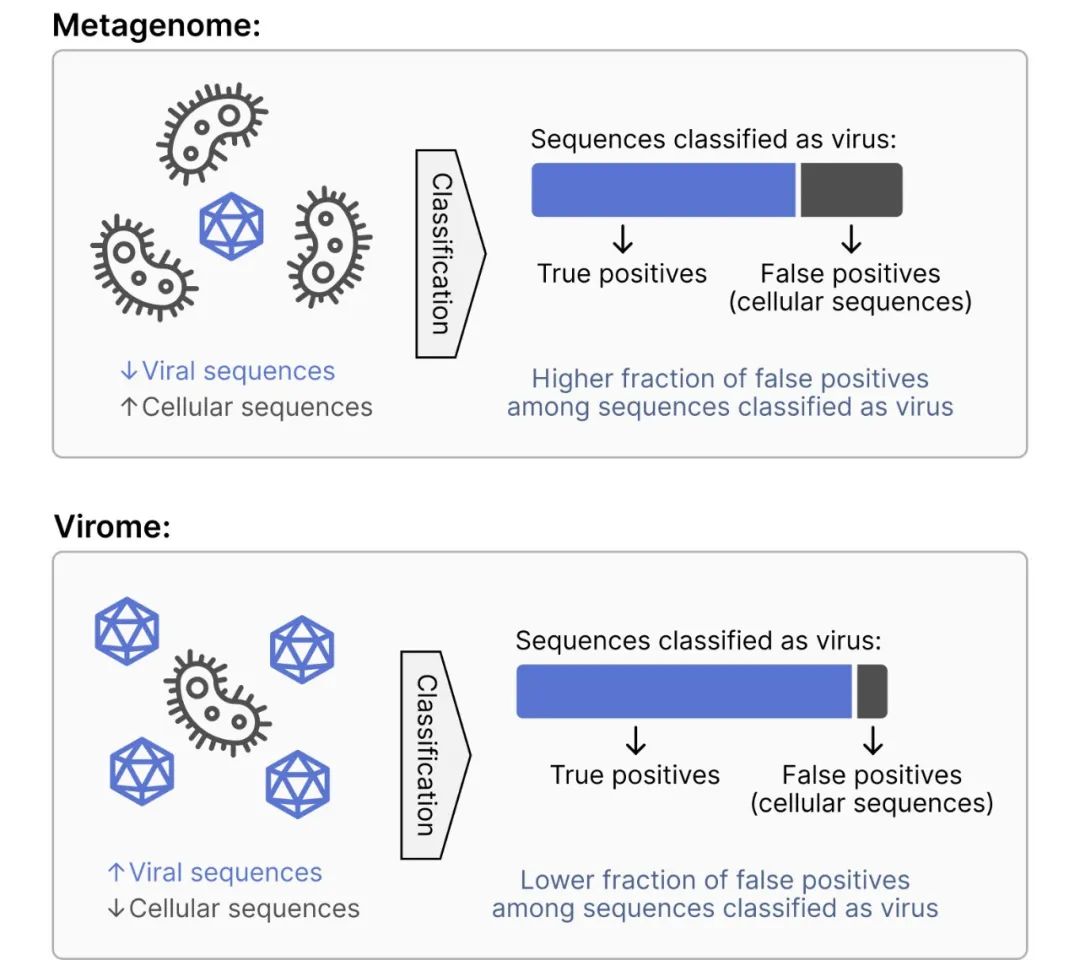 Nature Biotechnology | 使用geNomad识别移动遗传元素-CSDN博客