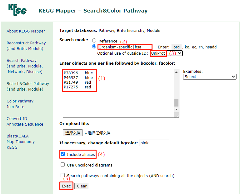 go kegg_不到五分钟，做出连强迫症都满意的KEGG通路图！-CSDN博客