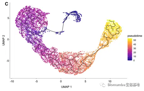 终于读到一篇用monocle3做拟时序的文章_monocles3-CSDN博客