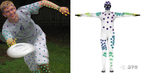 DensePose开源了，2D变3D人体姿势实时识别 | Facebook@CVPR 2018-CSDN博客