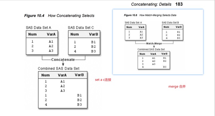 SAS_Base_Programming_Using_SAS_9.4(2019)个人理解_sas propcase-CSDN博客