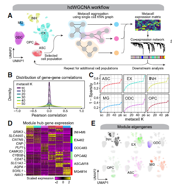 针对高维数据（10X单细胞空间）的共表达网络分析（hdWGCNA）_hdwgcna找到hub基因以后怎样分析?-CSDN博客