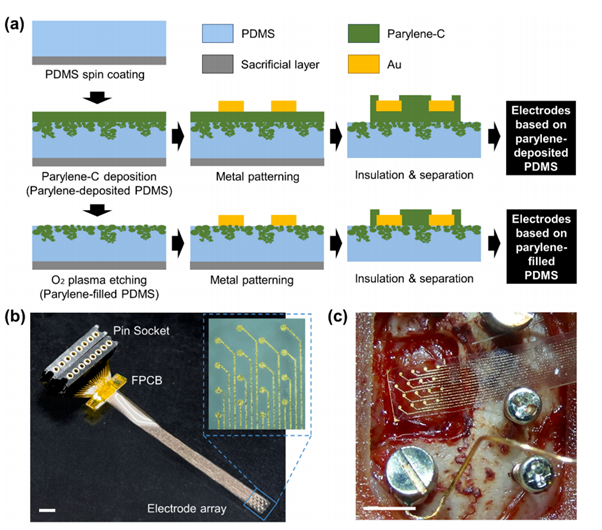 极具应用潜力的ECoG电极：基于PDMS的柔性电极，可用于长期体内记录-CSDN博客