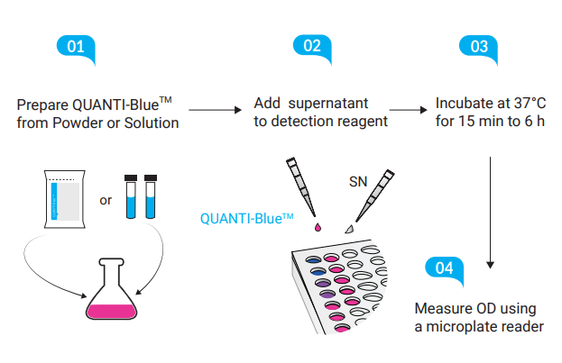 分泌型碱性磷酸酶（SEAP）和荧光素酶（Lucia）的检测_pcpgfree-lucia表达的荧光素酶的激发波长-CSDN博客