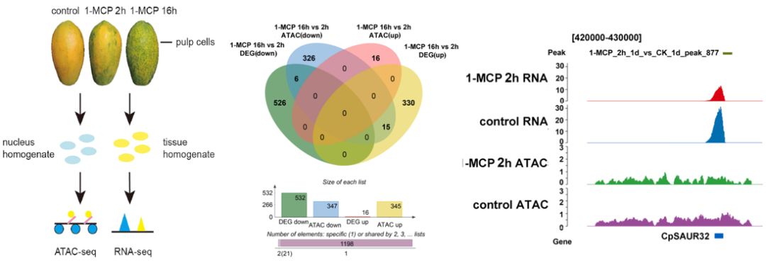 干货|小样本+大样本实验分组设计思路_eqtl 经典案例-CSDN博客