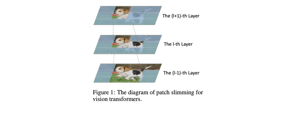 Patch Slimming for Efficient Vision Transformers简记-CSDN博客