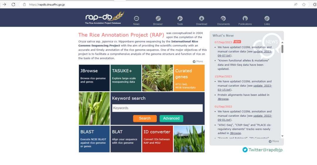 干货|10种重要作物基因组数据库_rapdb-CSDN博客