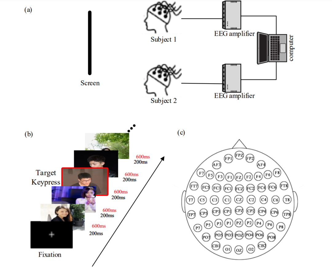双脑协同RSVP目标检测-CSDN博客