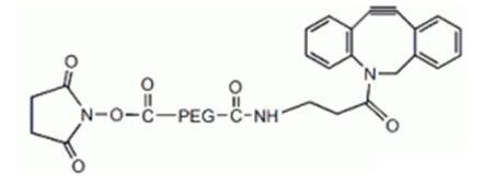 DBCO PEG NHS，MV2000，二苯并环辛炔 PEG 活性酯，DBCO试剂可用于标记叠氮化物修饰的生物分子-CSDN博客