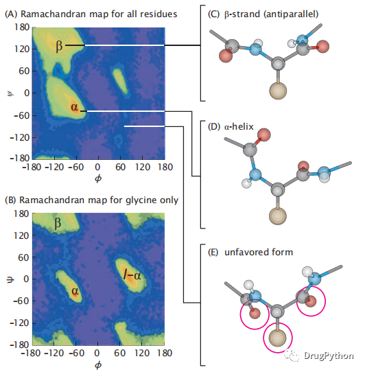 《Protein Actions Principles and Modeling》-《蛋白质作用原理和建模》中文分享（2）_氨基酸 扭象角 ...