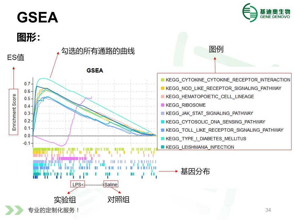 gsea富集分析结果怎么看_别搜啦！关于富集分析你想知道的这里都有！-CSDN博客