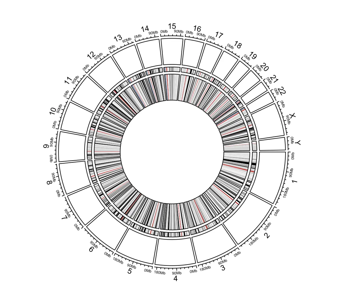 R 数据可视化 —— circlize 基因组高级绘图_使用r进行全基因组circos图-CSDN博客