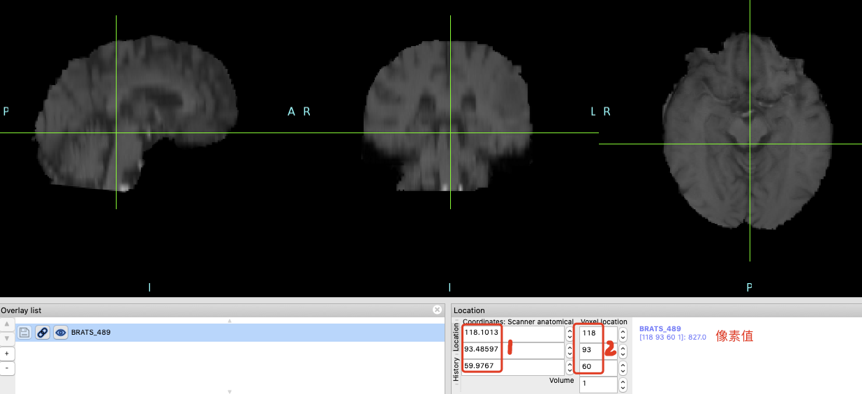 fsleyes -- 一款多功能影像数据查看器_fsleyes updating the texture data-CSDN博客