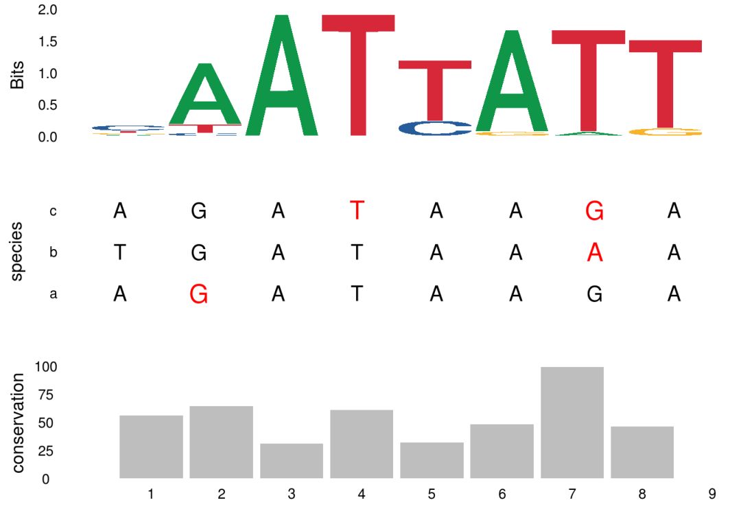 利用ggseqlogo绘制seqlogo图-CSDN博客