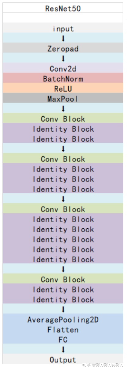 resnet50网络结构_ResNet50复现笔记-CSDN博客