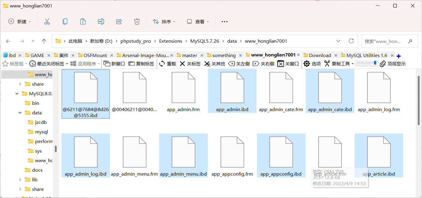 通过.frm和.idb文件恢复mysql数据库_frm ibd文件恢复成sql-CSDN博客